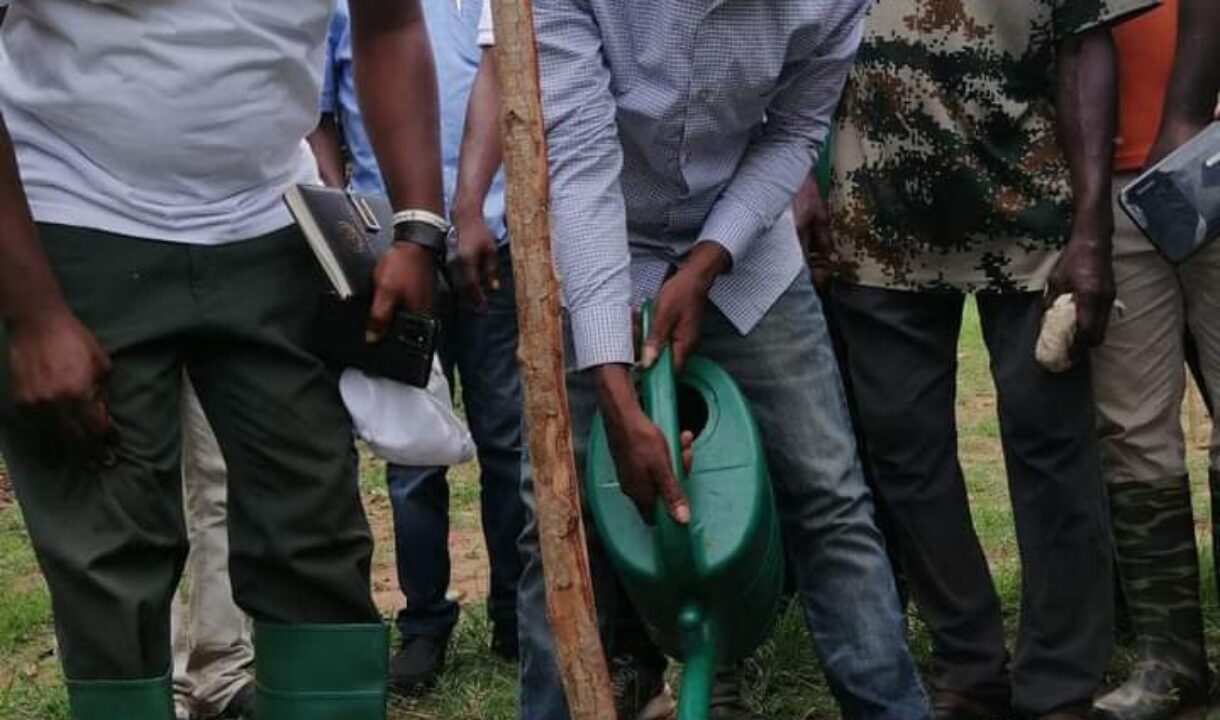 GREEN GHANA DAY: Kumawu DCE,MP and traditional leaders join Tree ...
