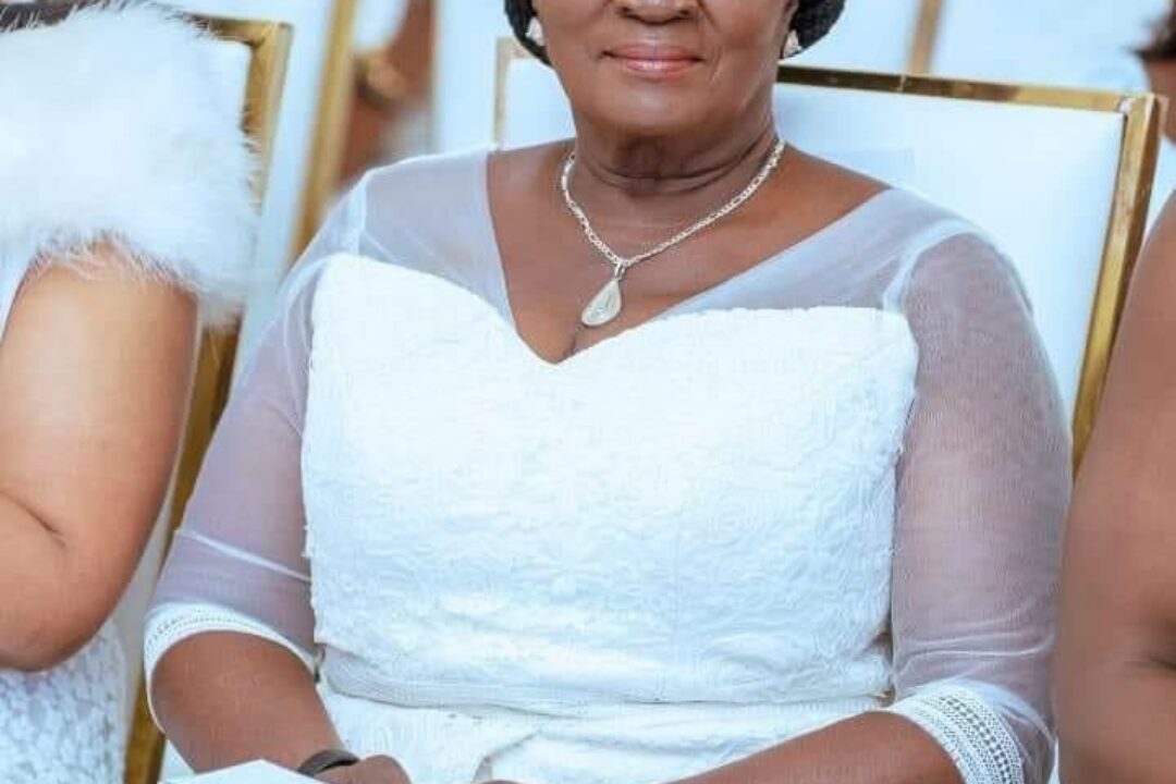 FULL TEXT: Acceptance speech by Prof Naana Opoku-Agyemang as Mahama’s ...